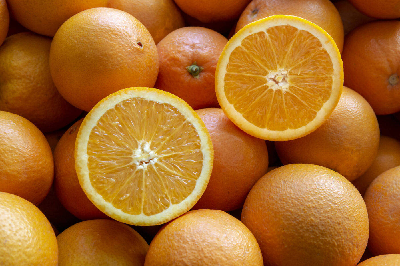 Proveedor de naranjas ecológicas – Tradesana